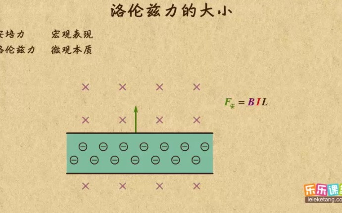 乐乐学堂高中物理选修一洛伦兹力的大小