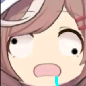 _猫_南_北_ 