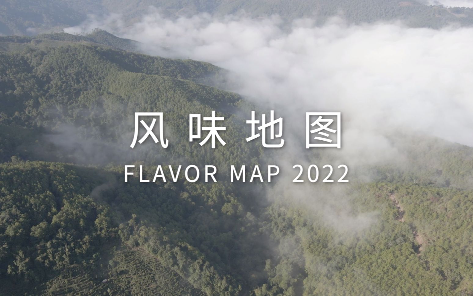 云南咖啡风味地图 | 2022正式开启!