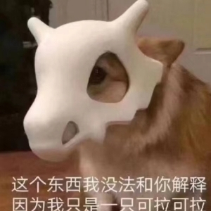 胡图图把兔儿 