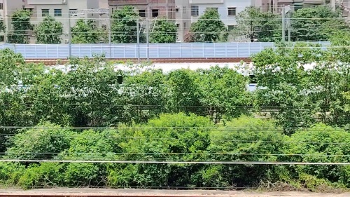 两列CRH380A型高速动车组重联从广州北通过