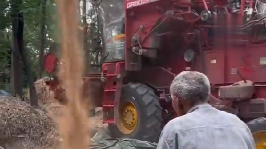 女农机手被大爷举钱求收麦子,一听原因心酸:不要钱帮忙收了!