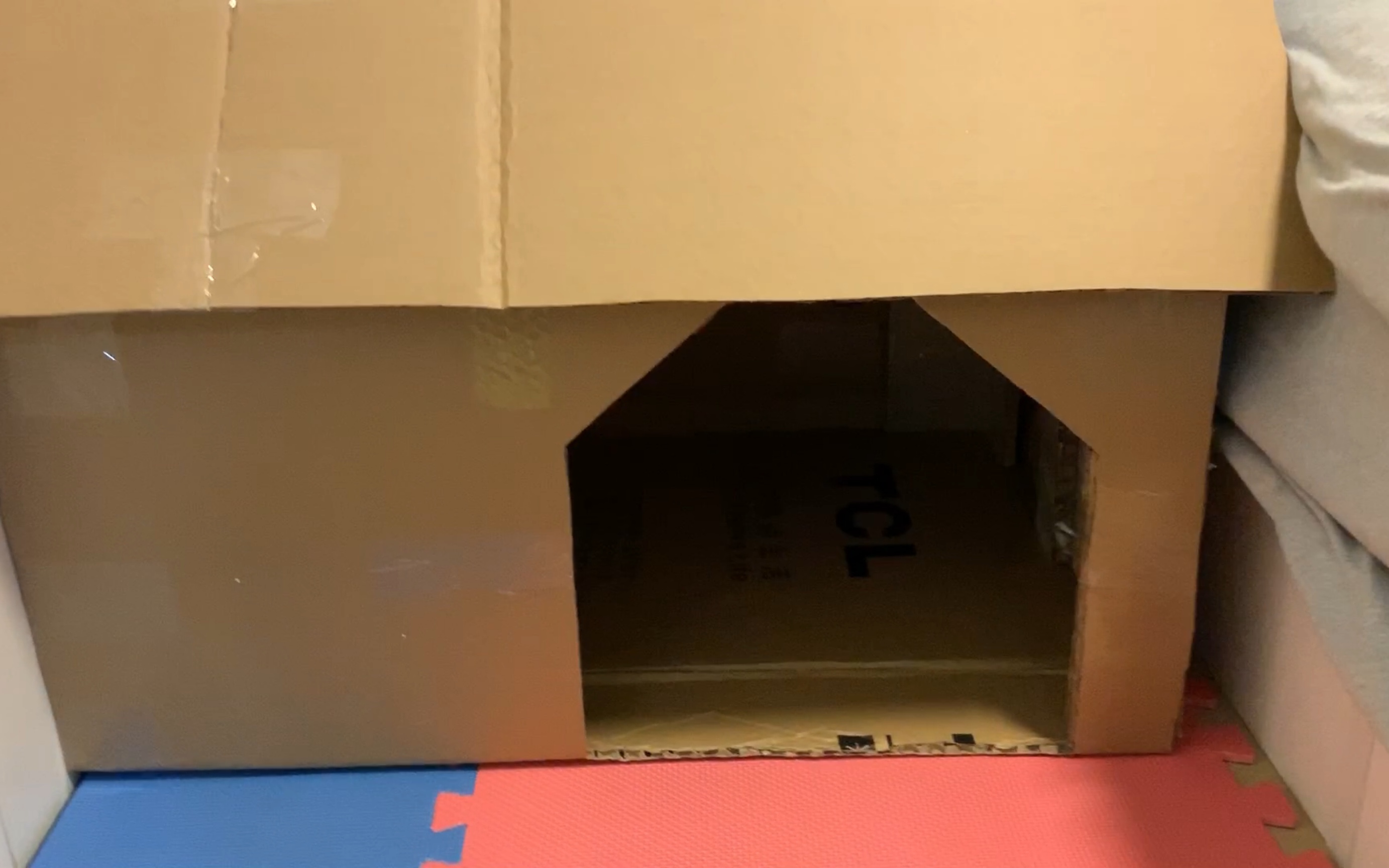 【中华田园犬】用纸箱做一个狗窝是什么体验,小土狗酸奶在新的一年...