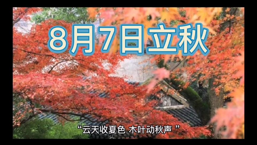 8月7日20时29分将迎来立秋,#明日立秋 #立秋#开学倒计时 #秋天