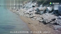 中小学生防溺水安全教育