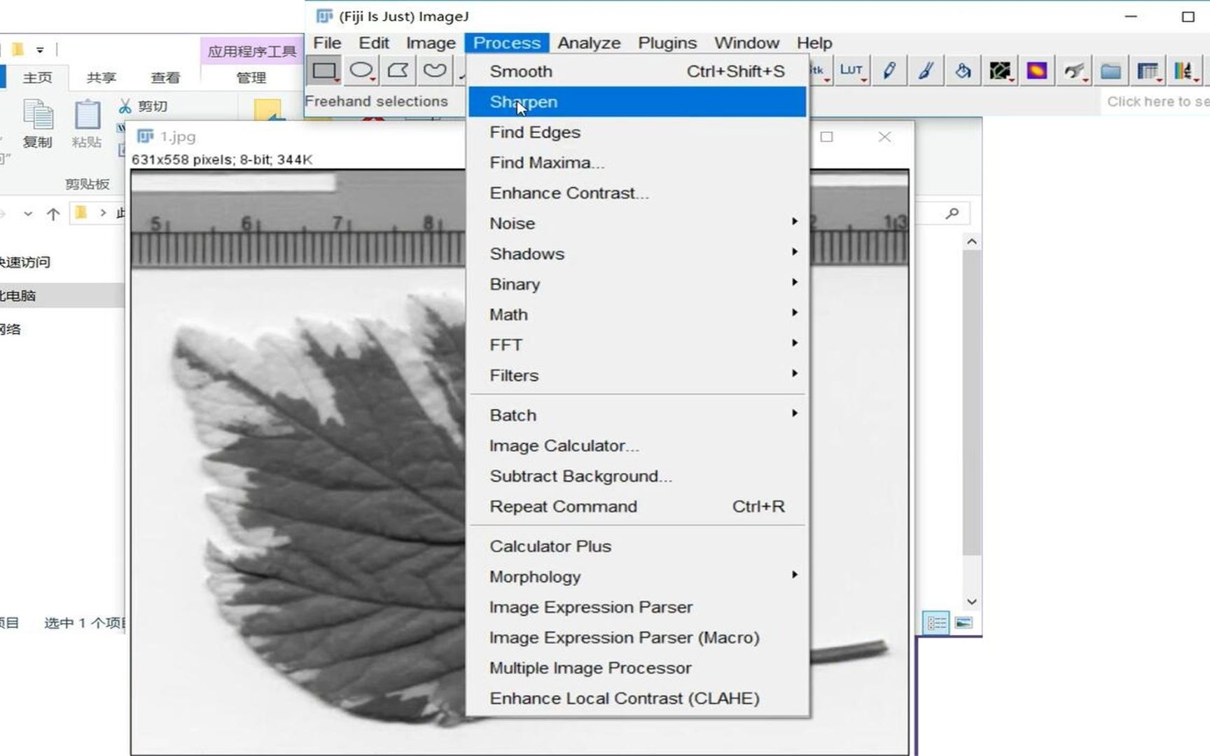 imageJ FIJI 灰度分析 安装视频攻略 零基础也能学会