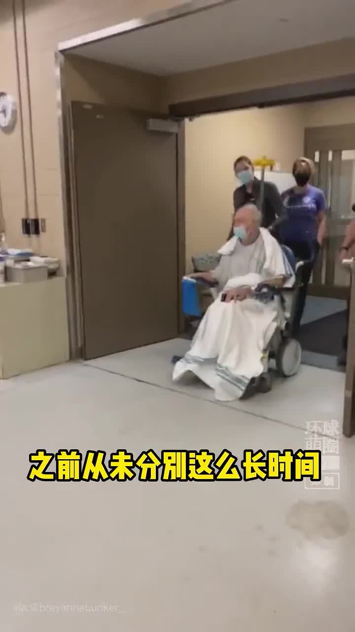 金毛Aspen与住院的"外公"重逢后激动坏了~