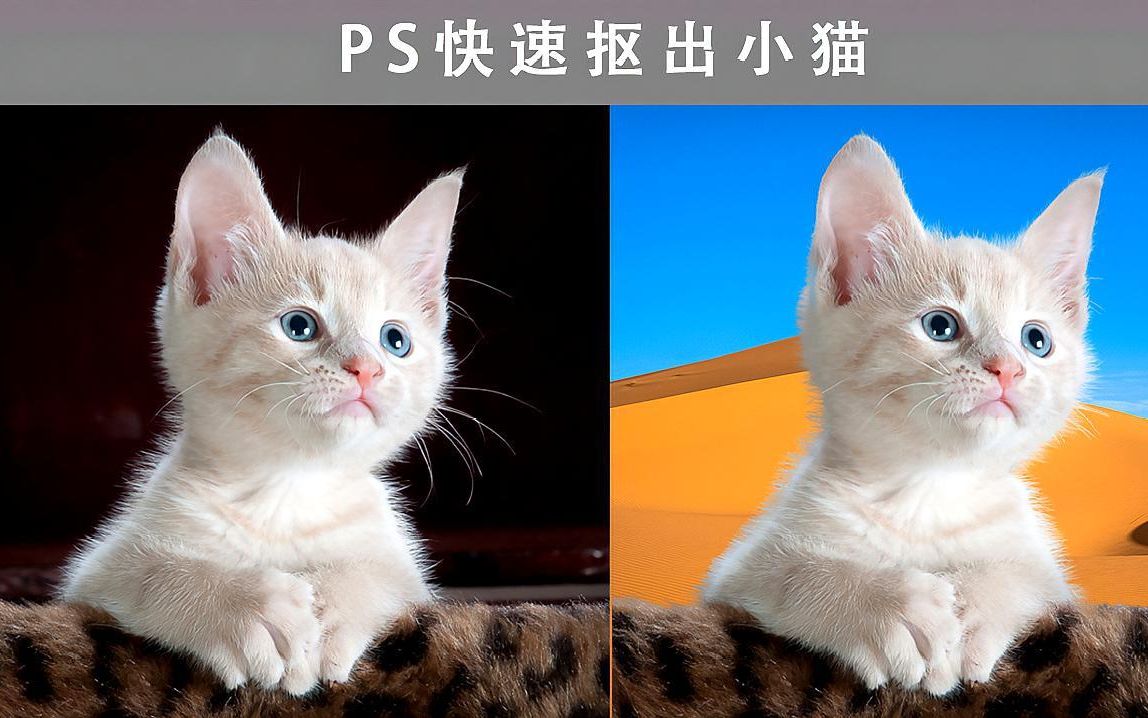PS基础教程:钢笔抠图