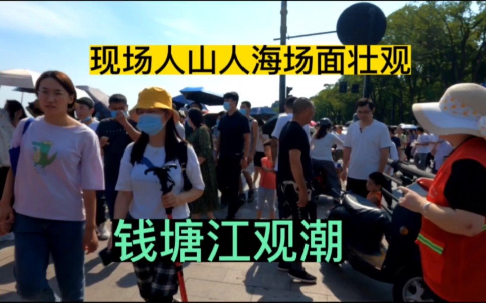 钱塘江大潮场面壮观,现场人山人海,排了几公里!