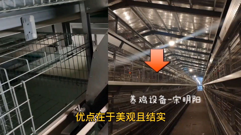 自动化层叠鸡笼养鸡设备如何选择