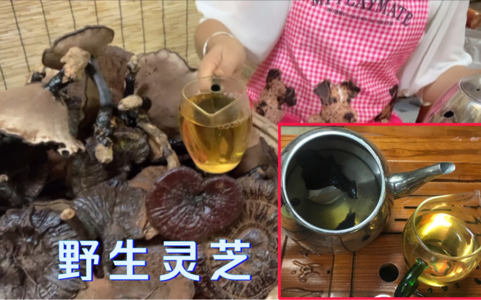 艳艳教大家野生灵芝最简单食用方法,汤水鲜甜入口香浓,你喝过吗