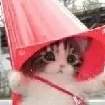 小猫咪可听不得这话 