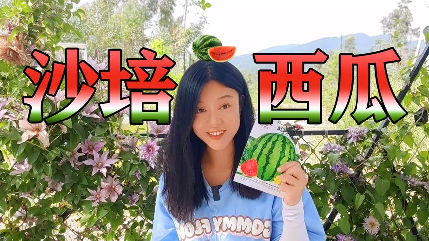 自制一个无土栽培沙培种植槽,一平米就能种16棵瓜,快学起来吧!