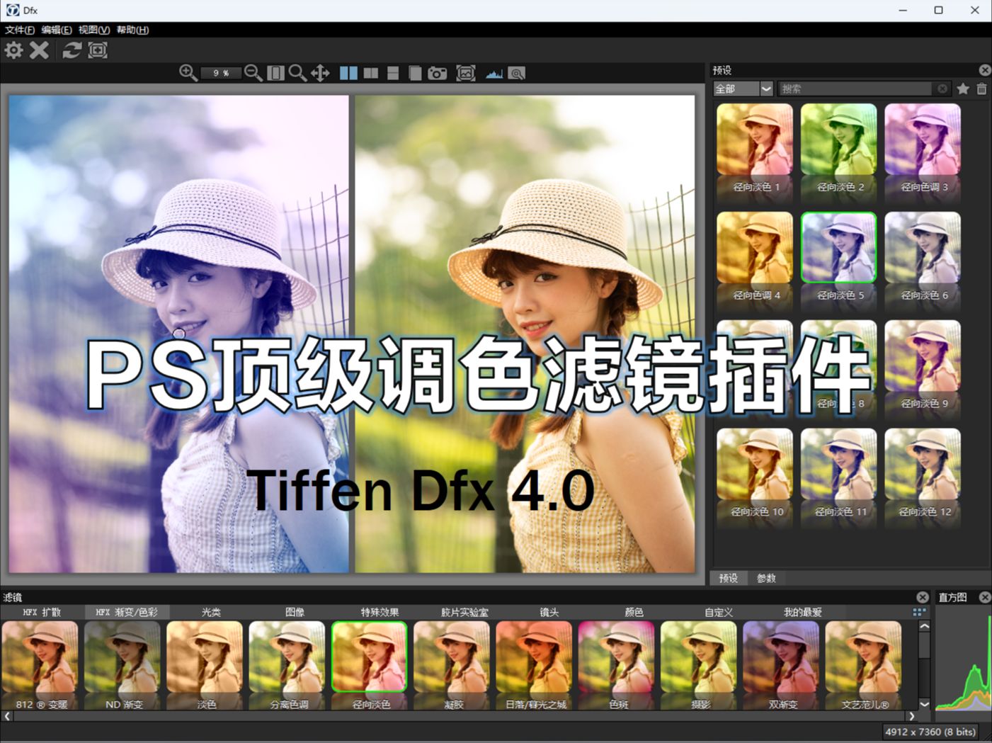 PS调色必备:Tiffen Dfx 4.0调色滤镜PS调色插件中文版支持Win Mac PS...
