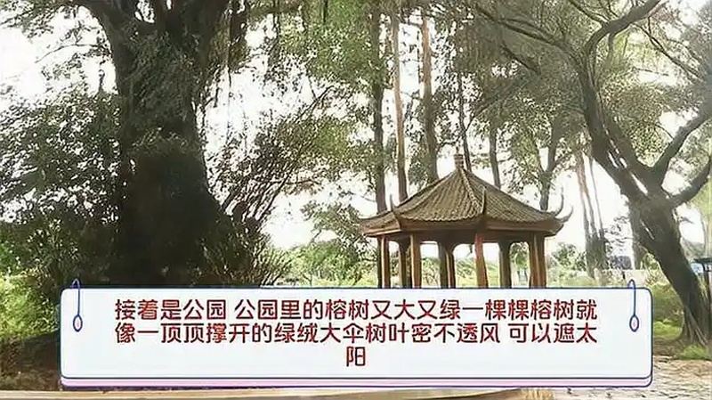 海滨小城五个场景都有哪些