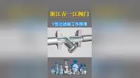 Y型过滤器结构原理,浙江春一江阀门