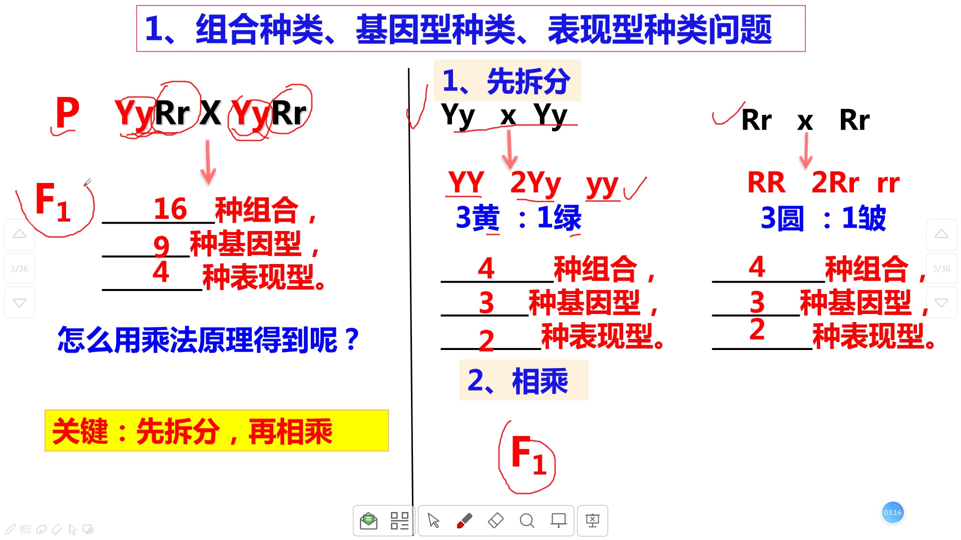 必修二 1.2 自由组合定律计算技巧1