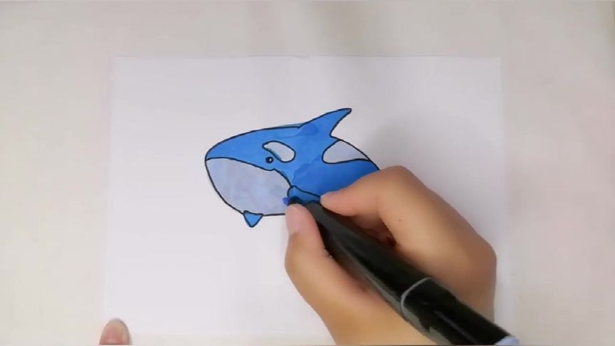 简单几步教你画鲨鱼,不可错过的简笔画教程,喜欢跟着一起来画吧