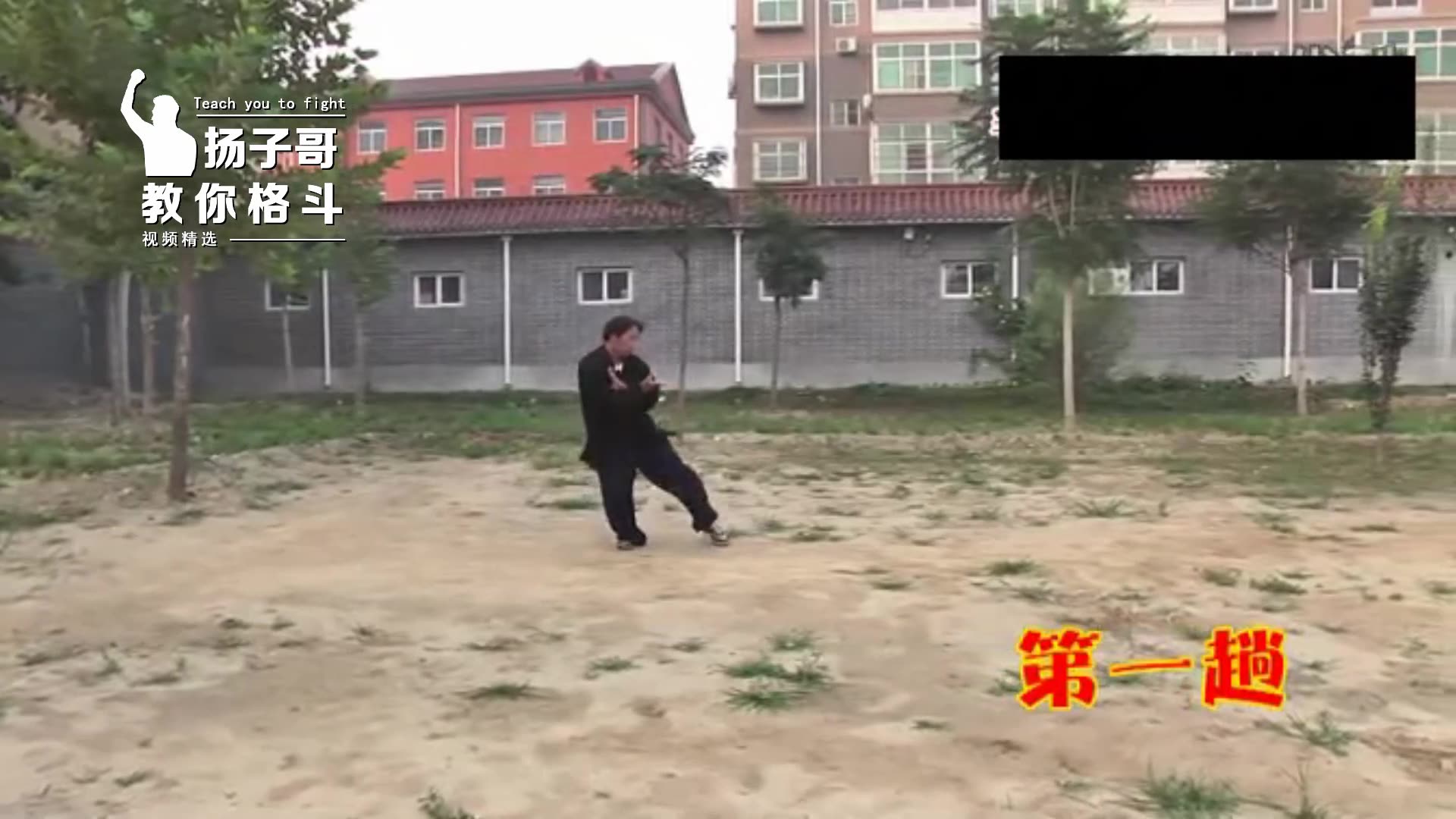 传统老架戳脚(完整版)