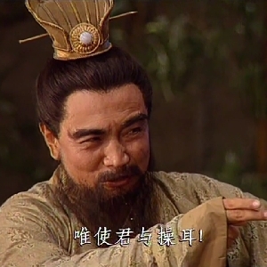 征妻将军曹操 