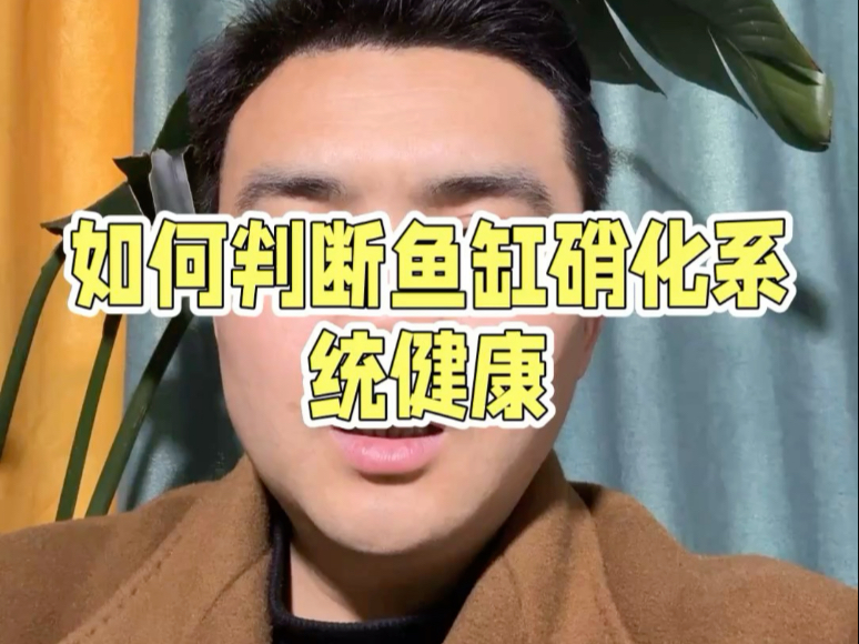 如何才知道鱼缸硝化系统建立好了?
