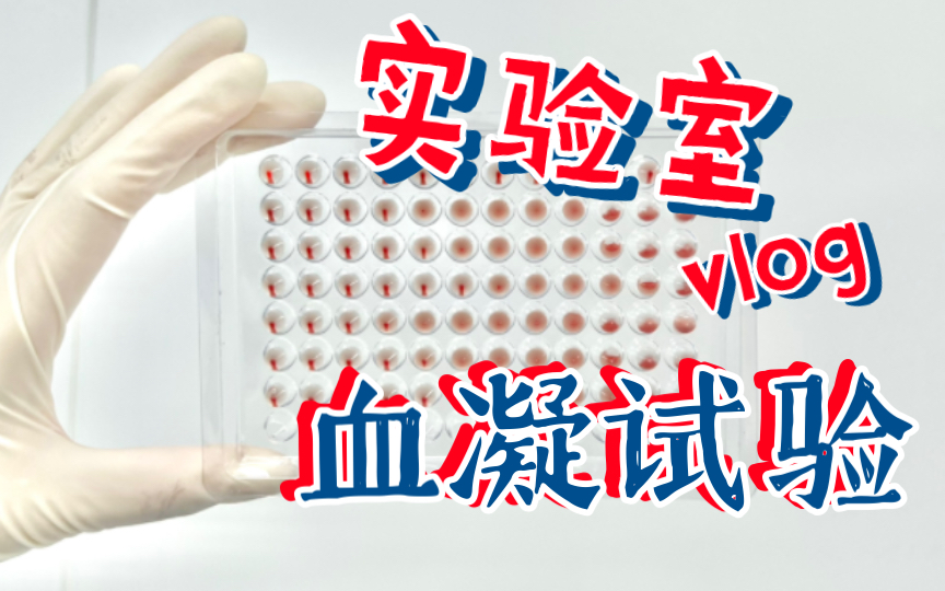 实验PART.1 | 血凝试验(HA试验)过程全记录