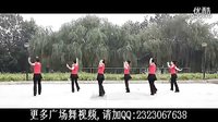 广场舞凤凰传奇 广场舞教学 广场舞蹈视频大全