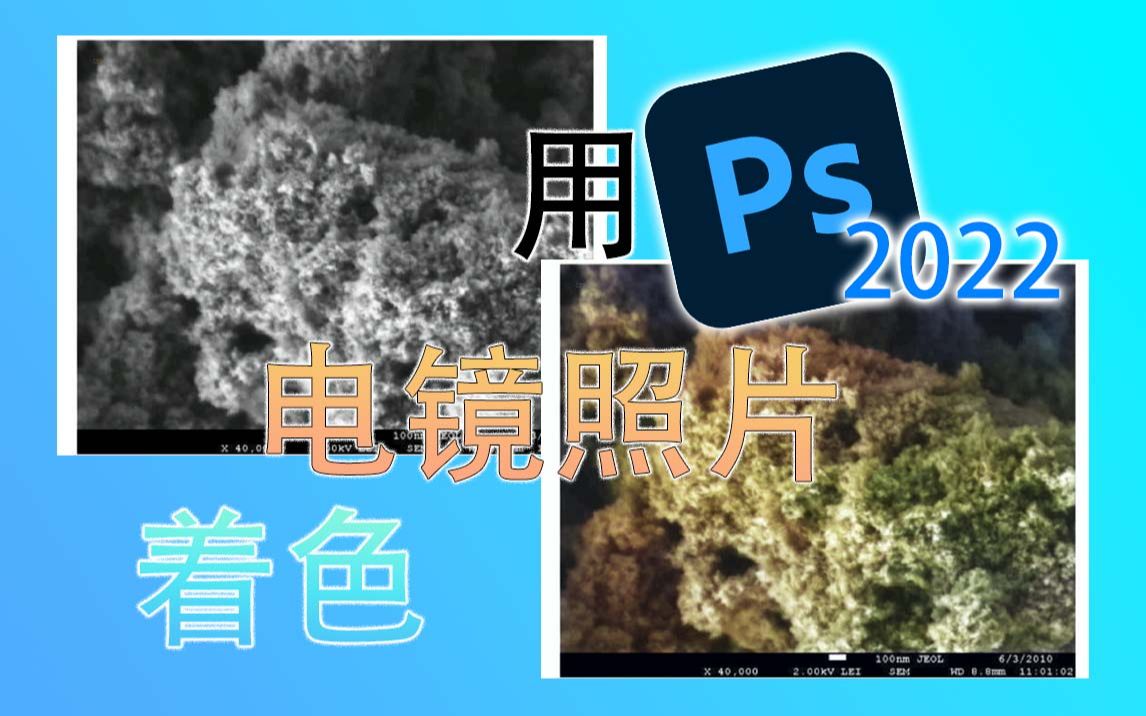 用AI给电子显微镜的照片上色?你见过吗~如何用PS神经滤镜将一张...