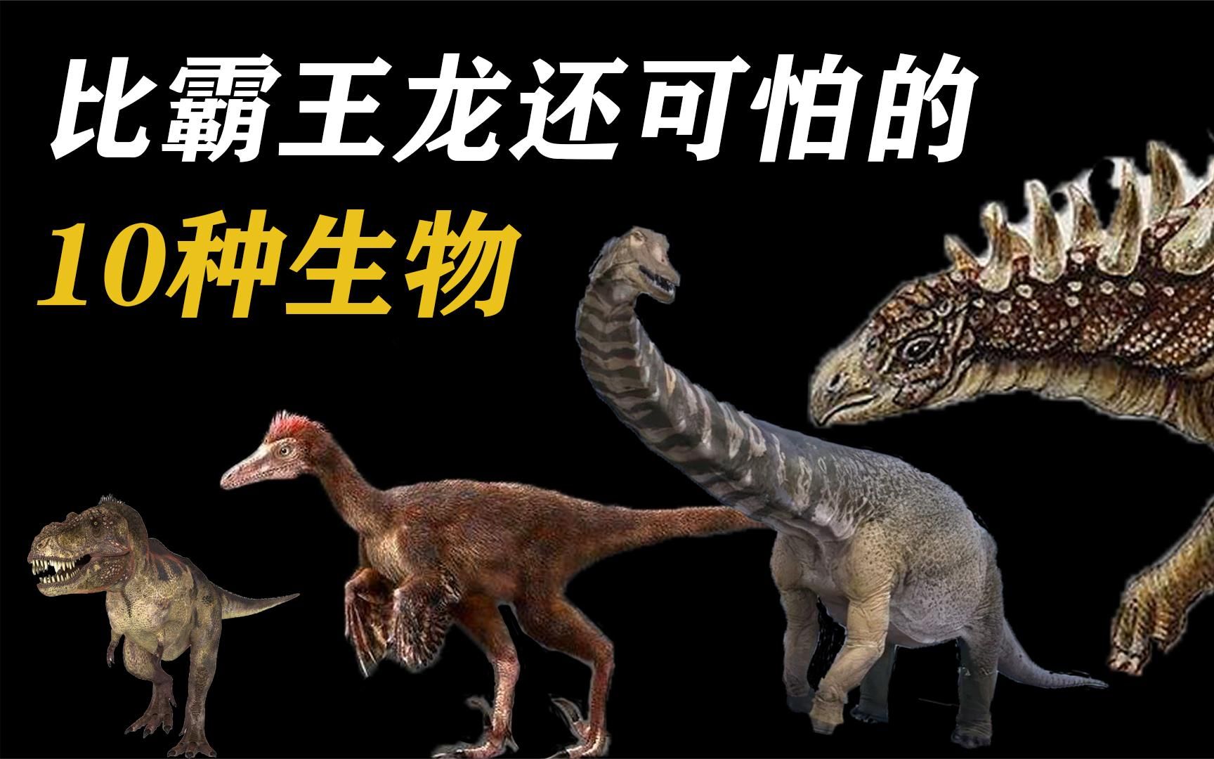地球10大史前生物排行,个个都是曾经的王者,霸王龙都算是菜鸟