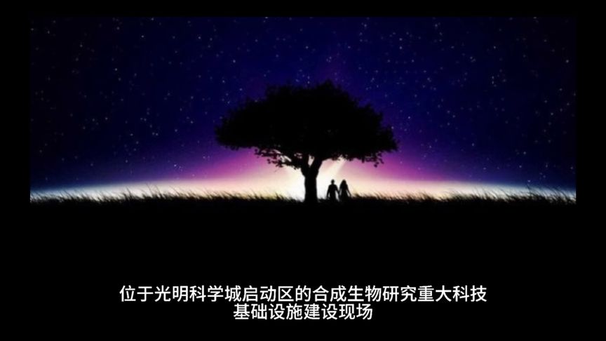 深圳市2021年重大项目计划清单发布 536个项目上榜 总投资2.8万亿