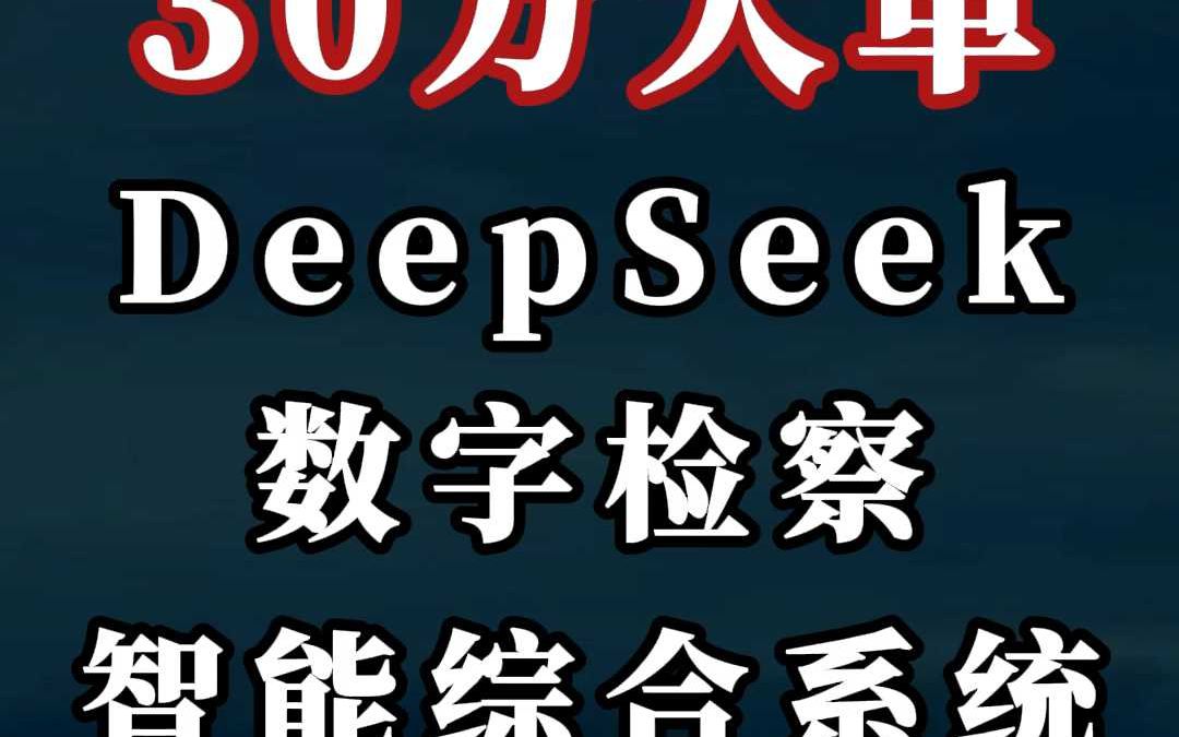DeepSeek + 数字检察智能综合系统