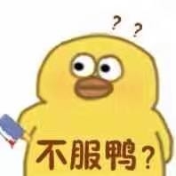 嗨心鸭 