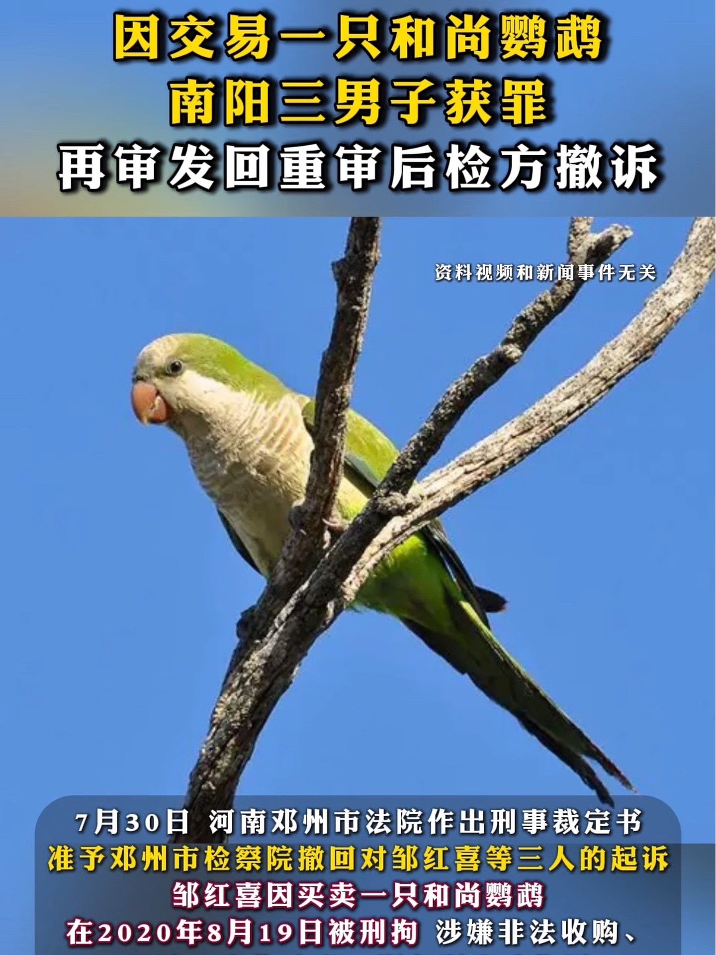 因交易一只和尚鹦鹉南阳三男子获罪,再审发回重审后检方撤诉