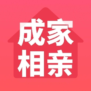 成家相亲 