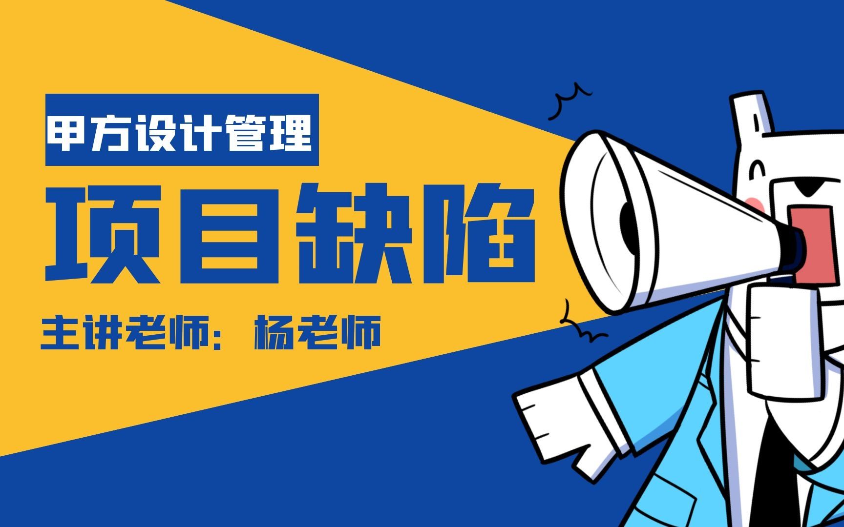 甲方设计管理-项目缺陷