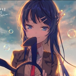 野中晴与樱岛麻衣 