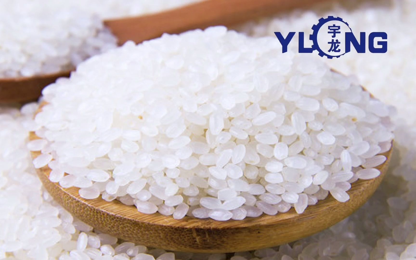 黑龙江、吉林、辽宁的朋友们,你们的稻壳、稻草咋处理?除了将秸秆...