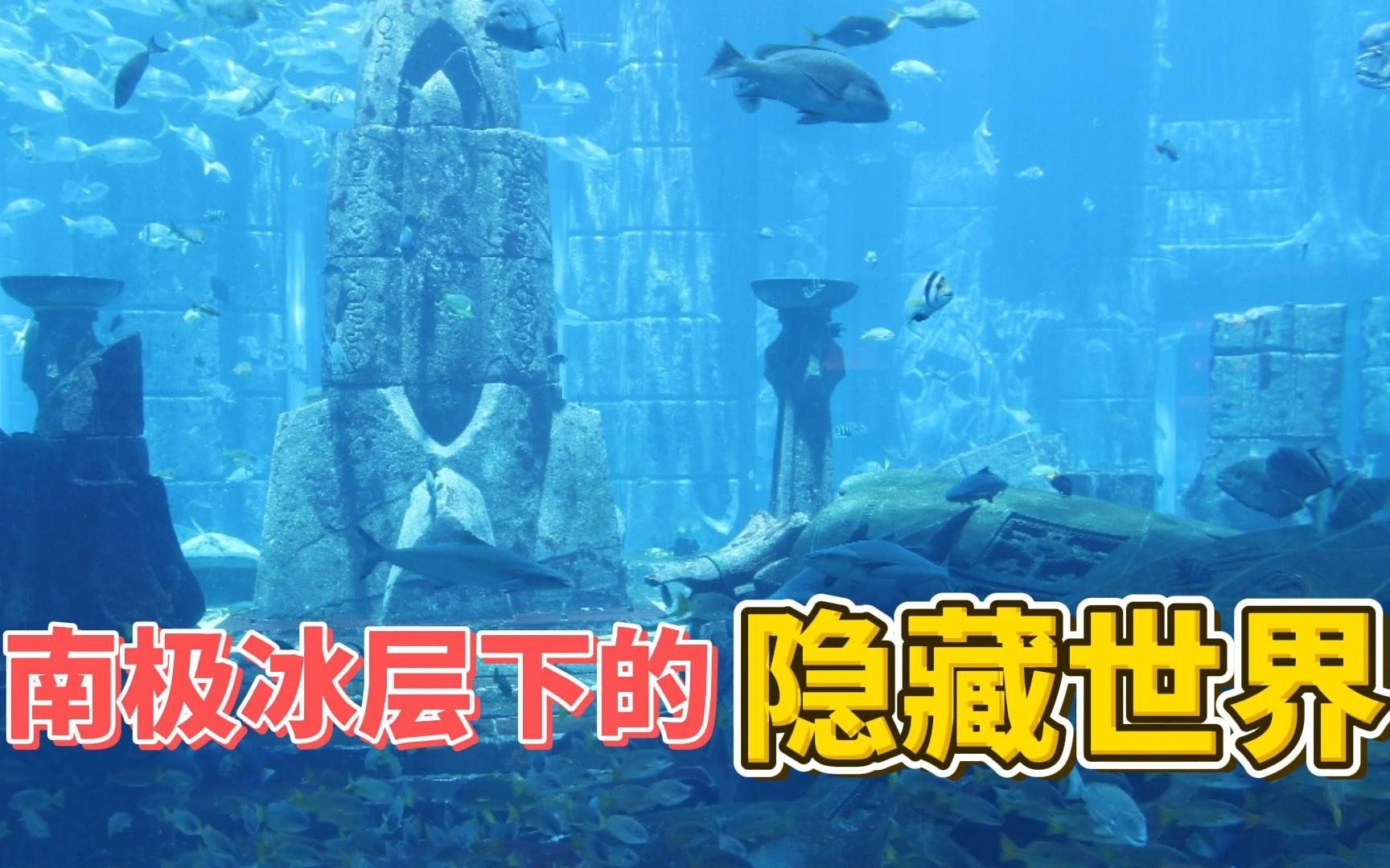 南极冰层下的「隐藏世界」揭开面纱!科学家为何惊叹不已?