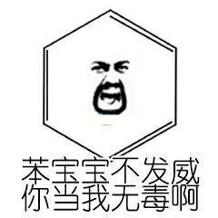 帅帅的苯宝宝 