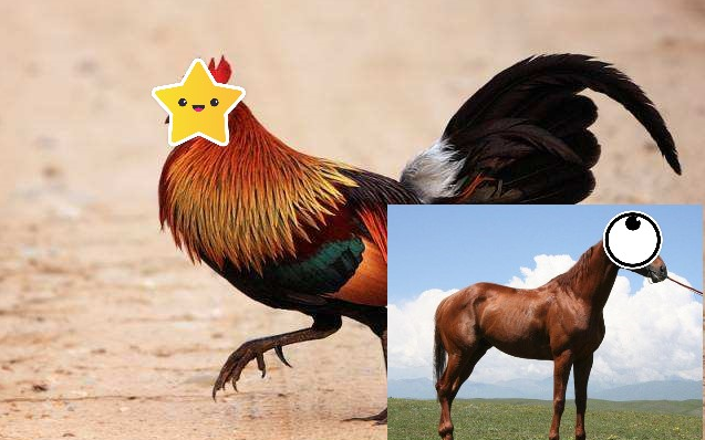 鸡和马能否共存?