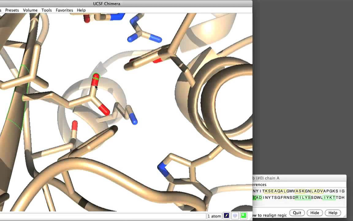 【UCSF Chimera】在UCSF Chimera中突变一个氨基酸残基