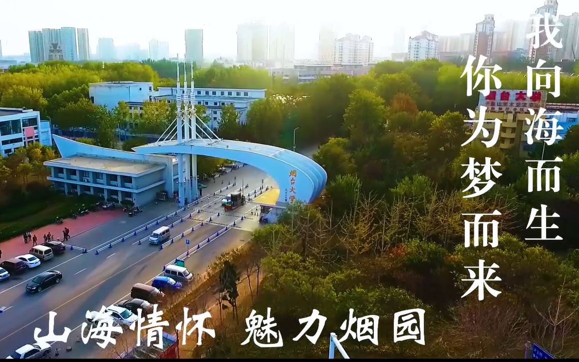 【山海情怀·魅力烟大】 烟台大学非官方宣传片 | 烟大,让我梦想翱翔