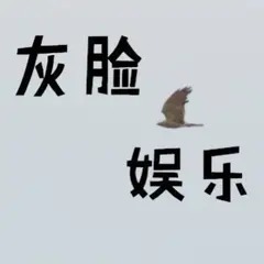 灰脸说娱乐