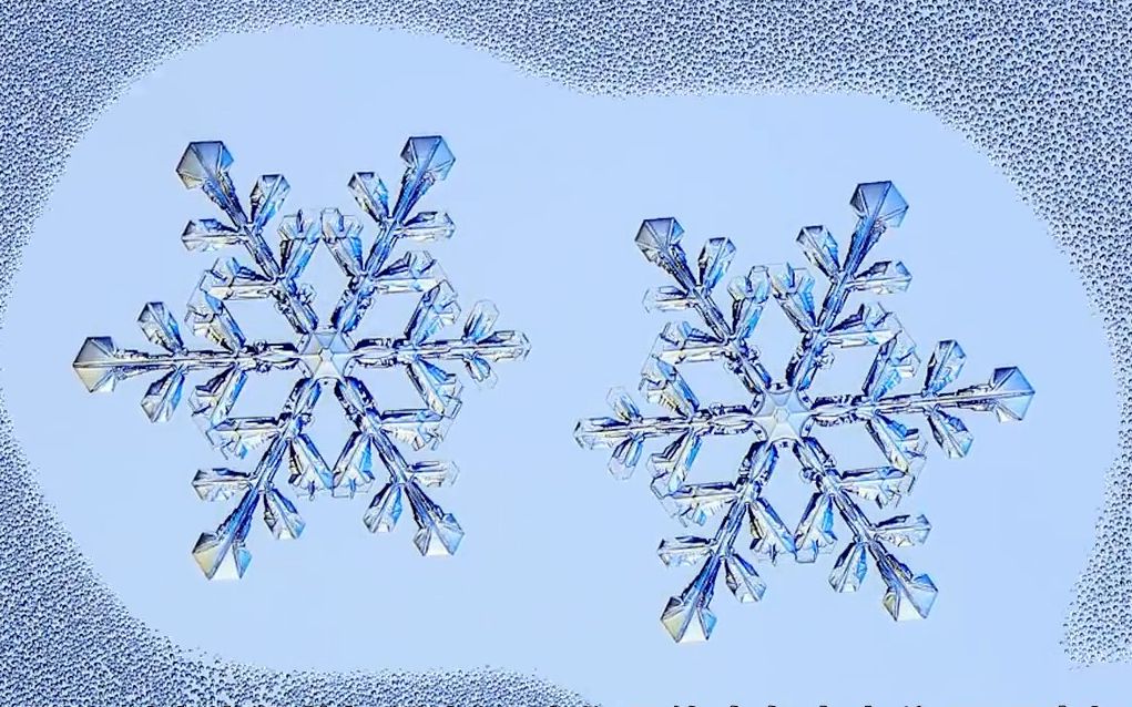 冰雪奇缘的「雪花顾问」,揭开冬天的秘密