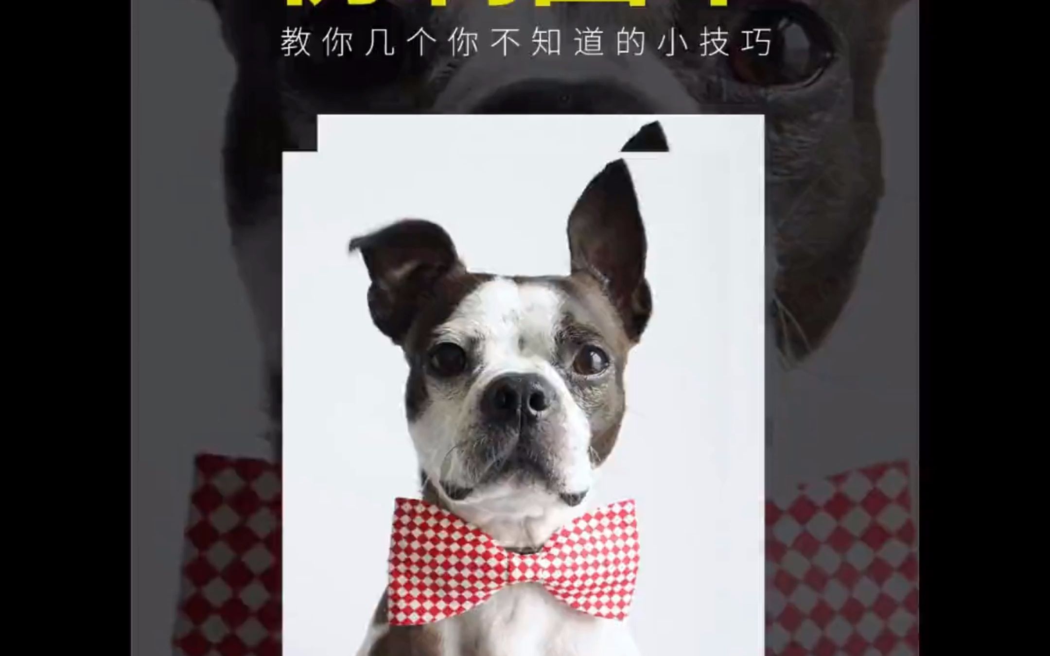 教你不知道的几个仿制图章小技巧