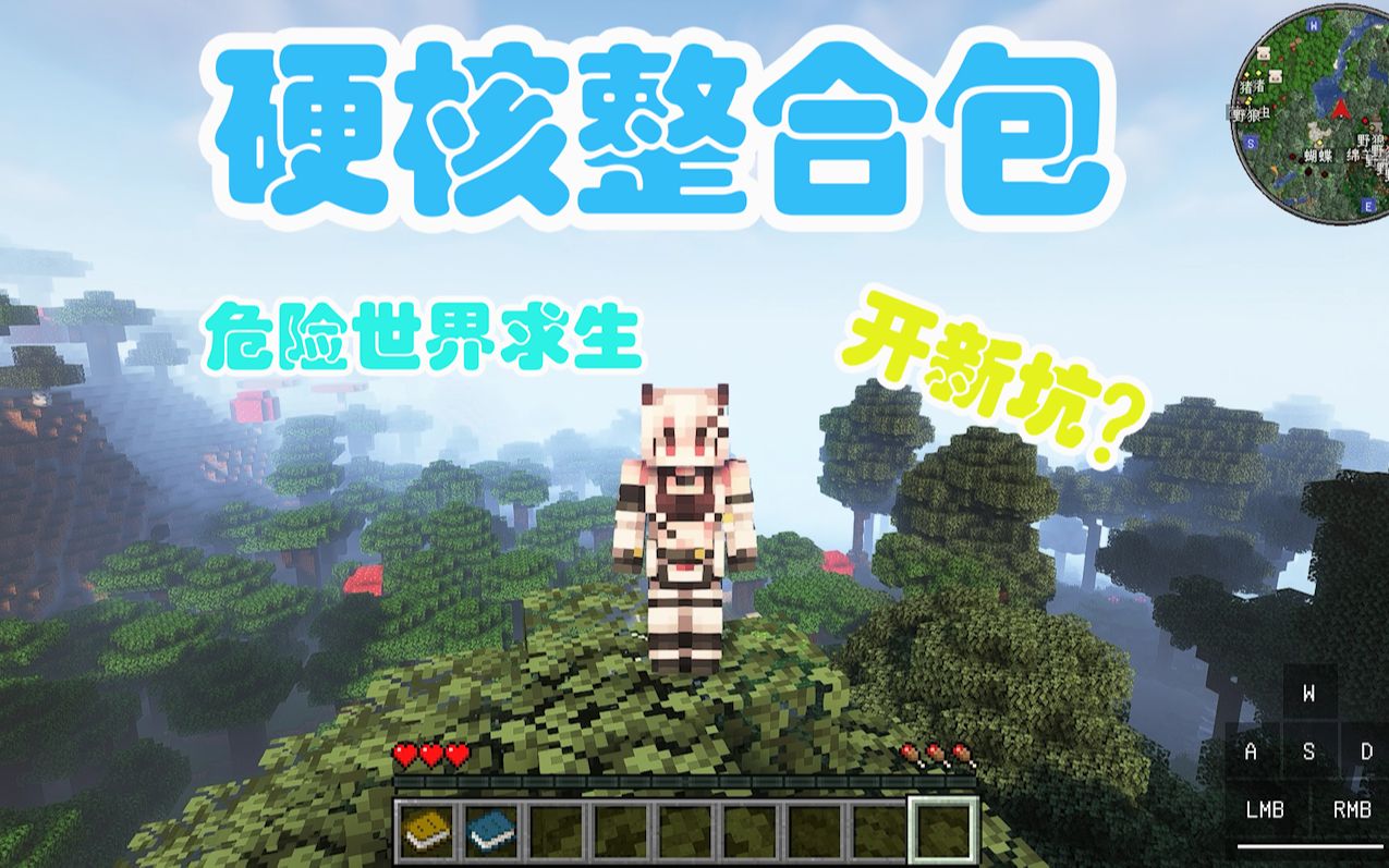 【我的世界】新坑?继RL和贝爷后又一超硬核整合包:危险世界生存|...