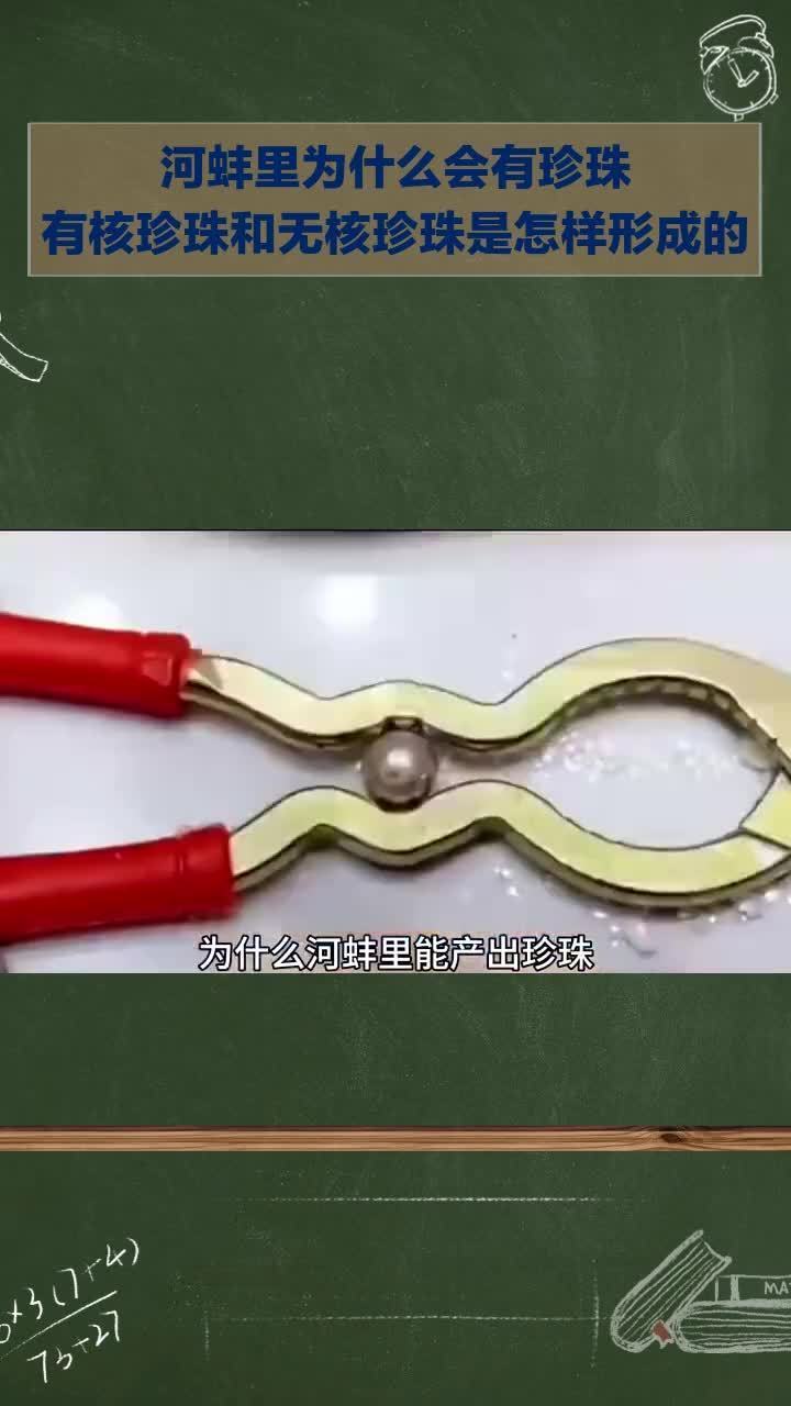 河蚌里为什么会有珍珠有核珍珠和无核珍珠是怎样形成的