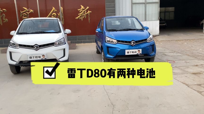 雷丁电动汽车老年代步车新能源低速电动车