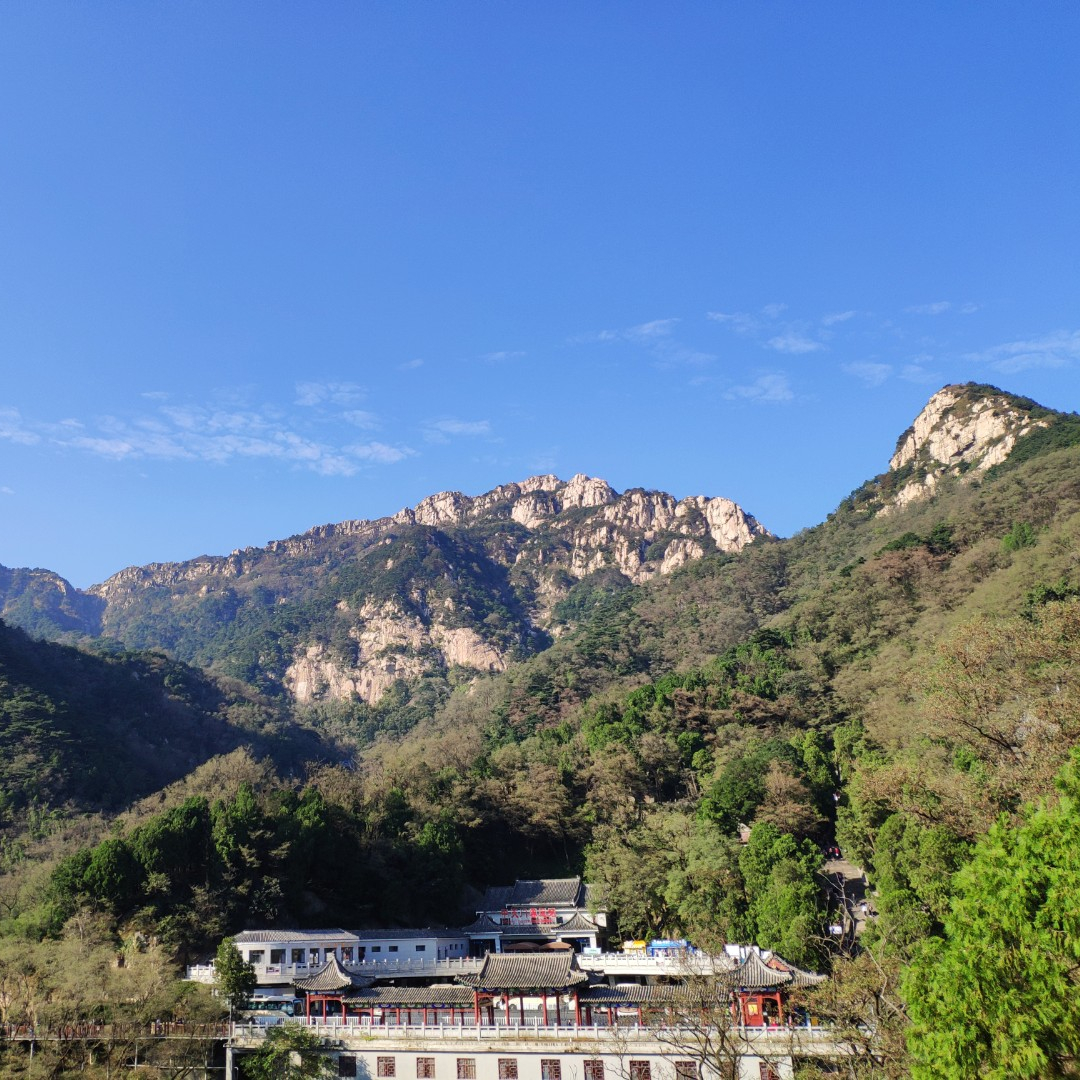 亮观点 