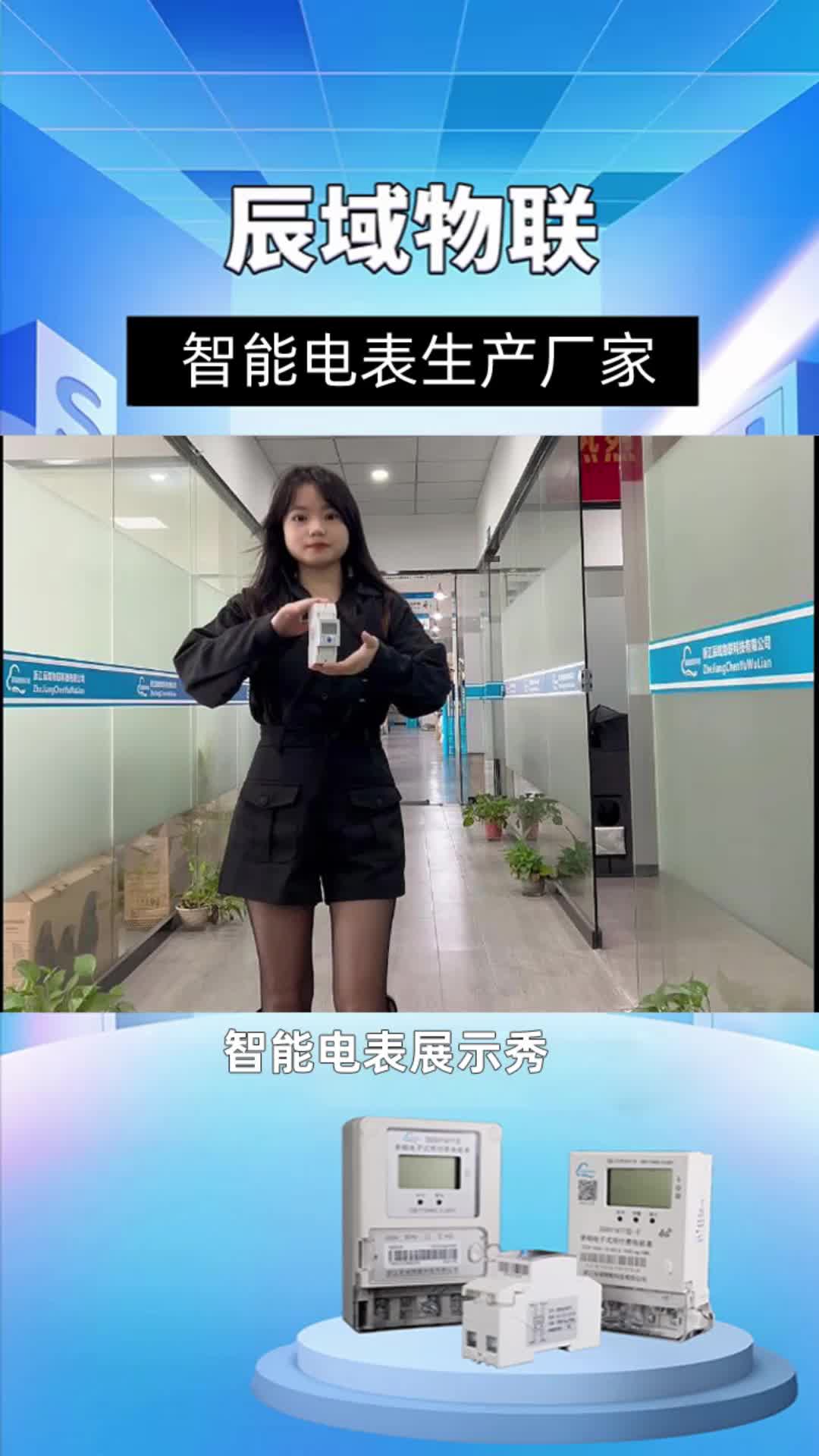 导轨式电表厂家,厂家为你提供导轨式电表、三相电能表;厂家还提供...